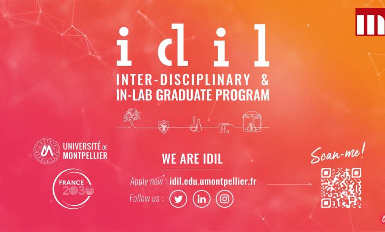 IDIL Scholarships for International Students at the University of ...